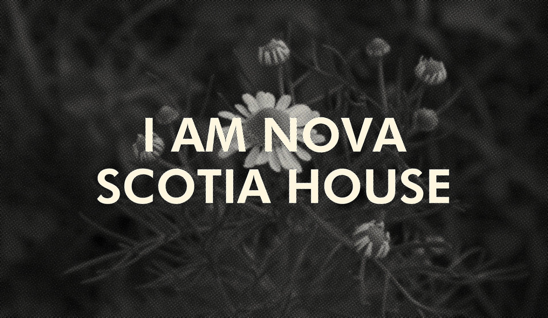 I Am Nova Scotia House by Charlie Porter